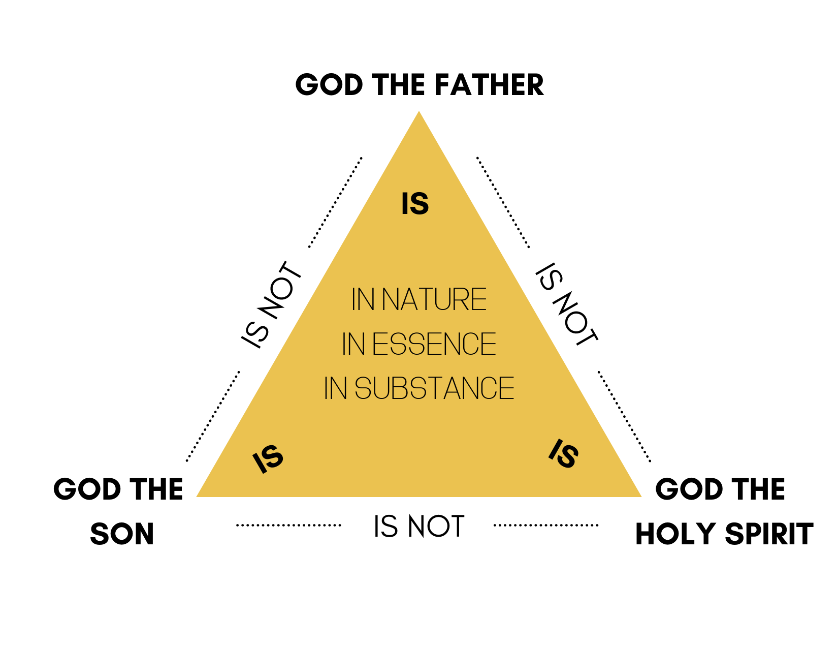 Unit 3: The Holy Trinity: Part II